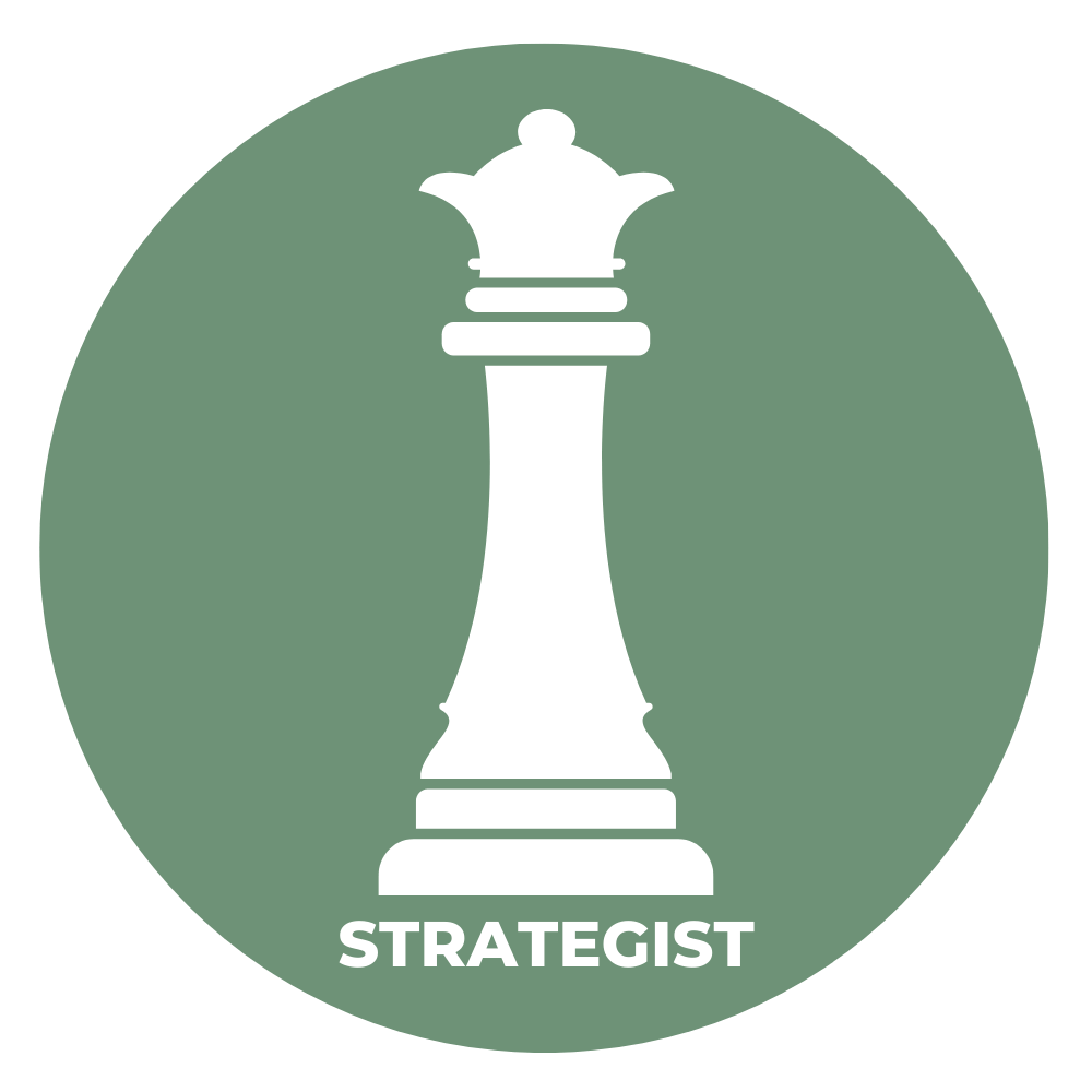 Strategist – Cosmic CEO